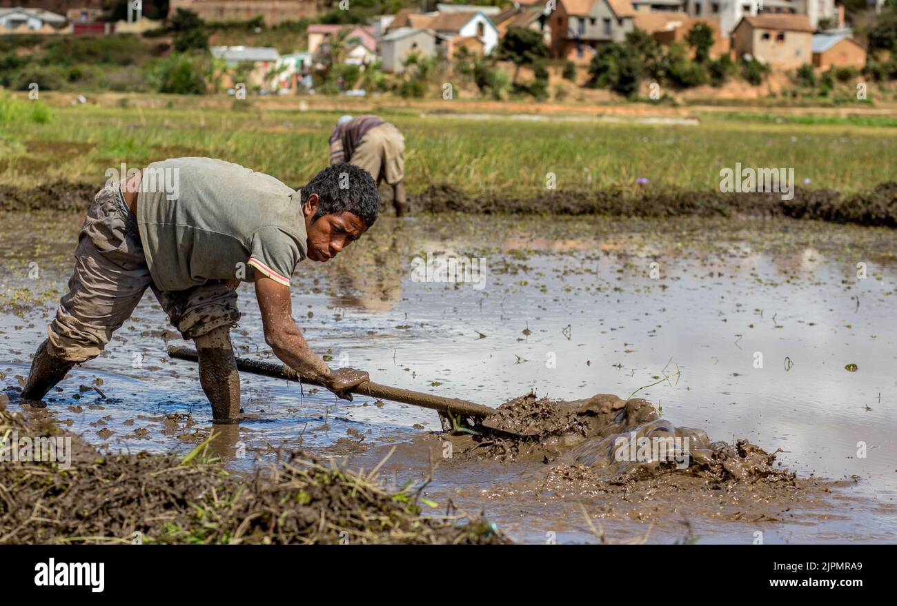 Smale scale farming -Fotos und -Bildmaterial in hoher Auflösung – Alamy