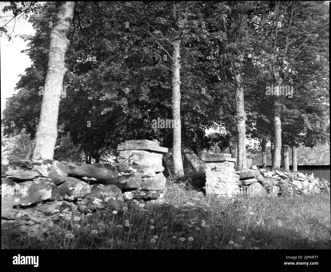 Gamla kyrkogarden -Fotos und -Bildmaterial in hoher Auflösung – Alamy