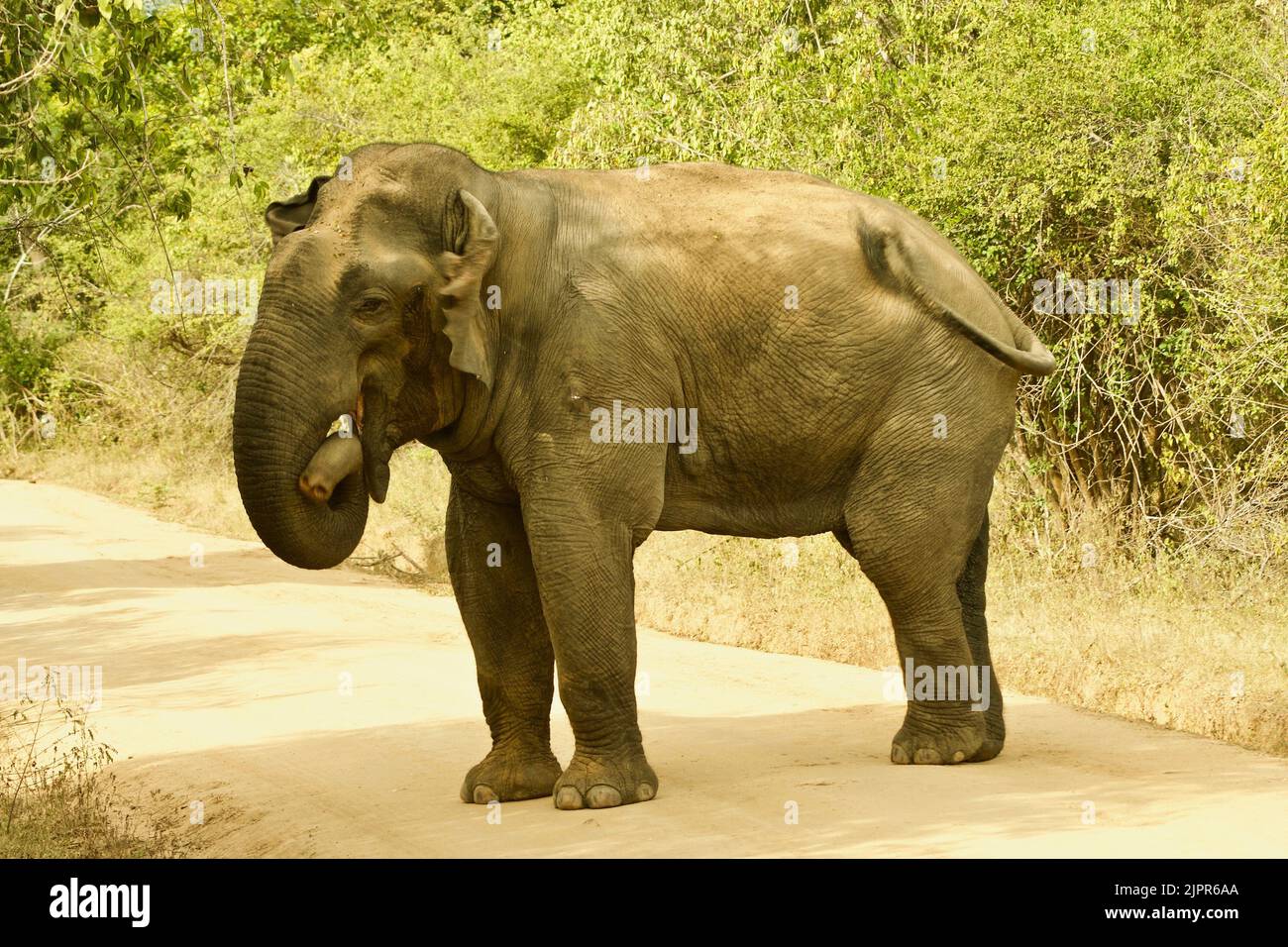 Jugendliches unbehagen -Fotos und -Bildmaterial in hoher Auflösung – Alamy