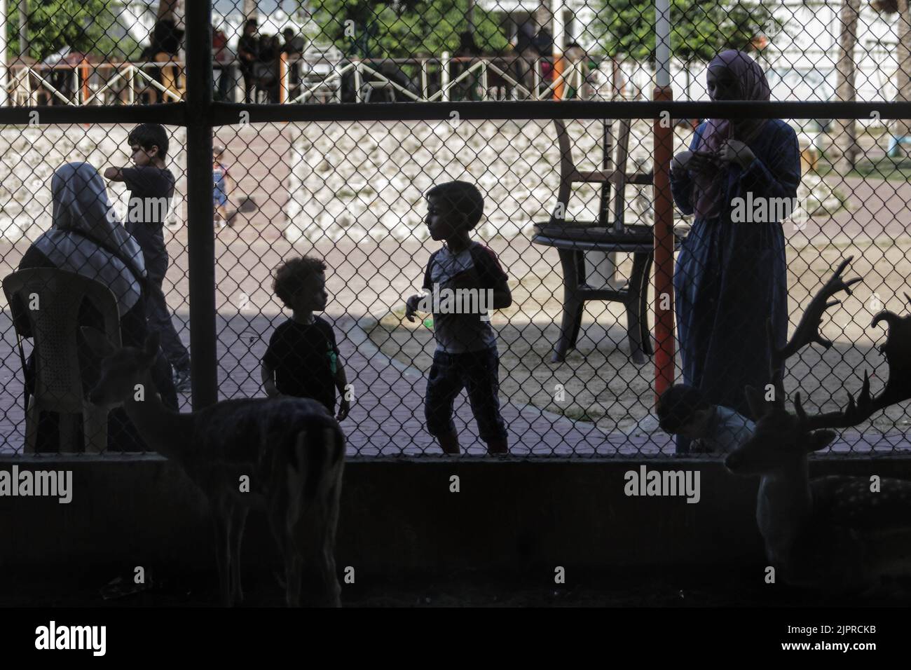 Gaza zoo -Fotos und -Bildmaterial in hoher Auflösung – Alamy