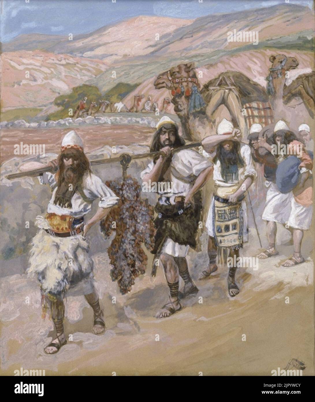 Grapes of canaan -Fotos und -Bildmaterial in hoher Auflösung – Alamy