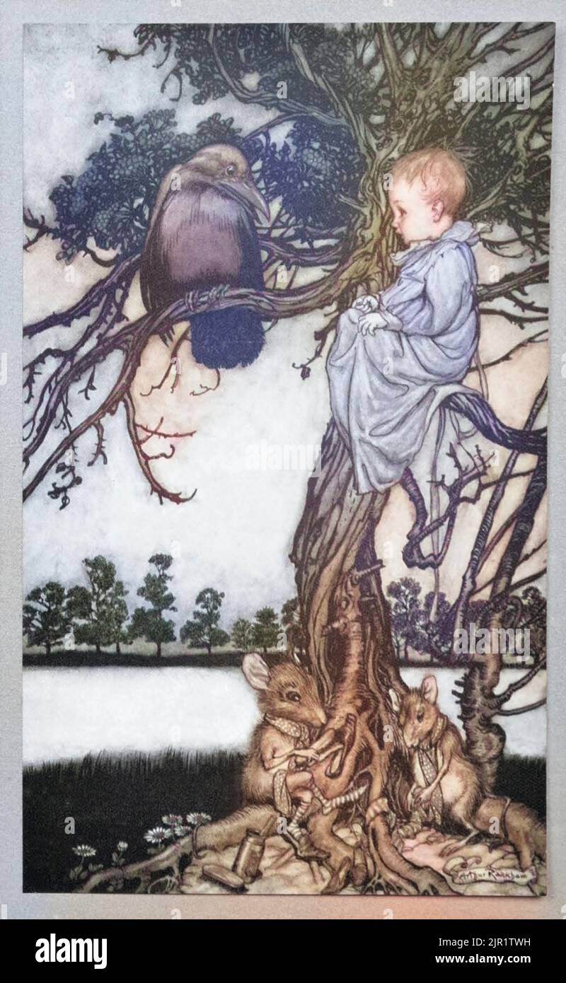 Stellen Sie seinen seltsamen Fall vor den alten Solomon Caw aus dem ...