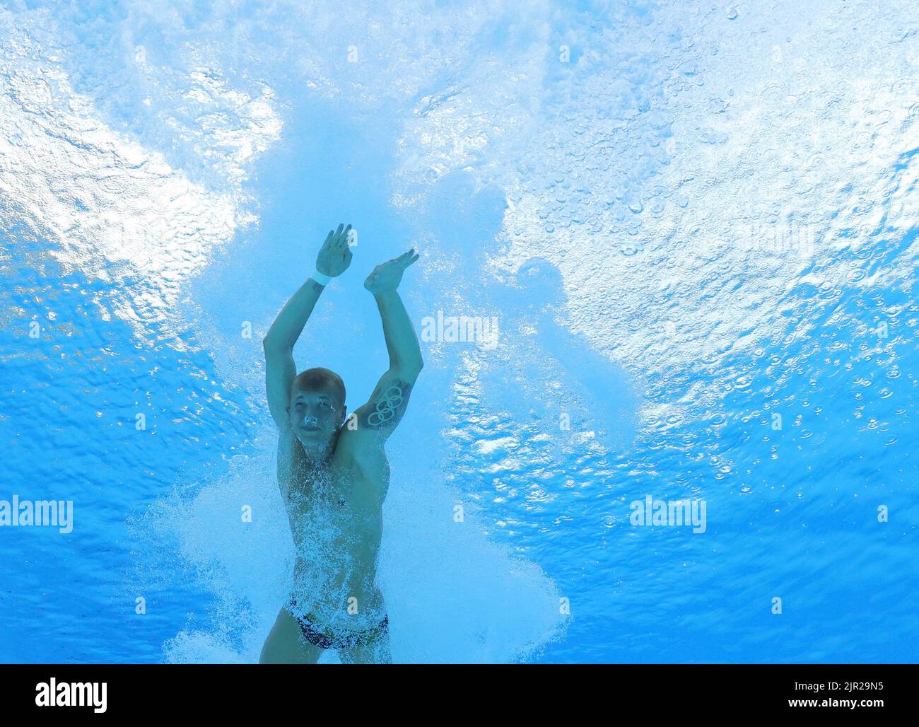 Tauchen - Schwimmeuropameisterschaften - Stadio Olimpico del Nuoto, Rom ...