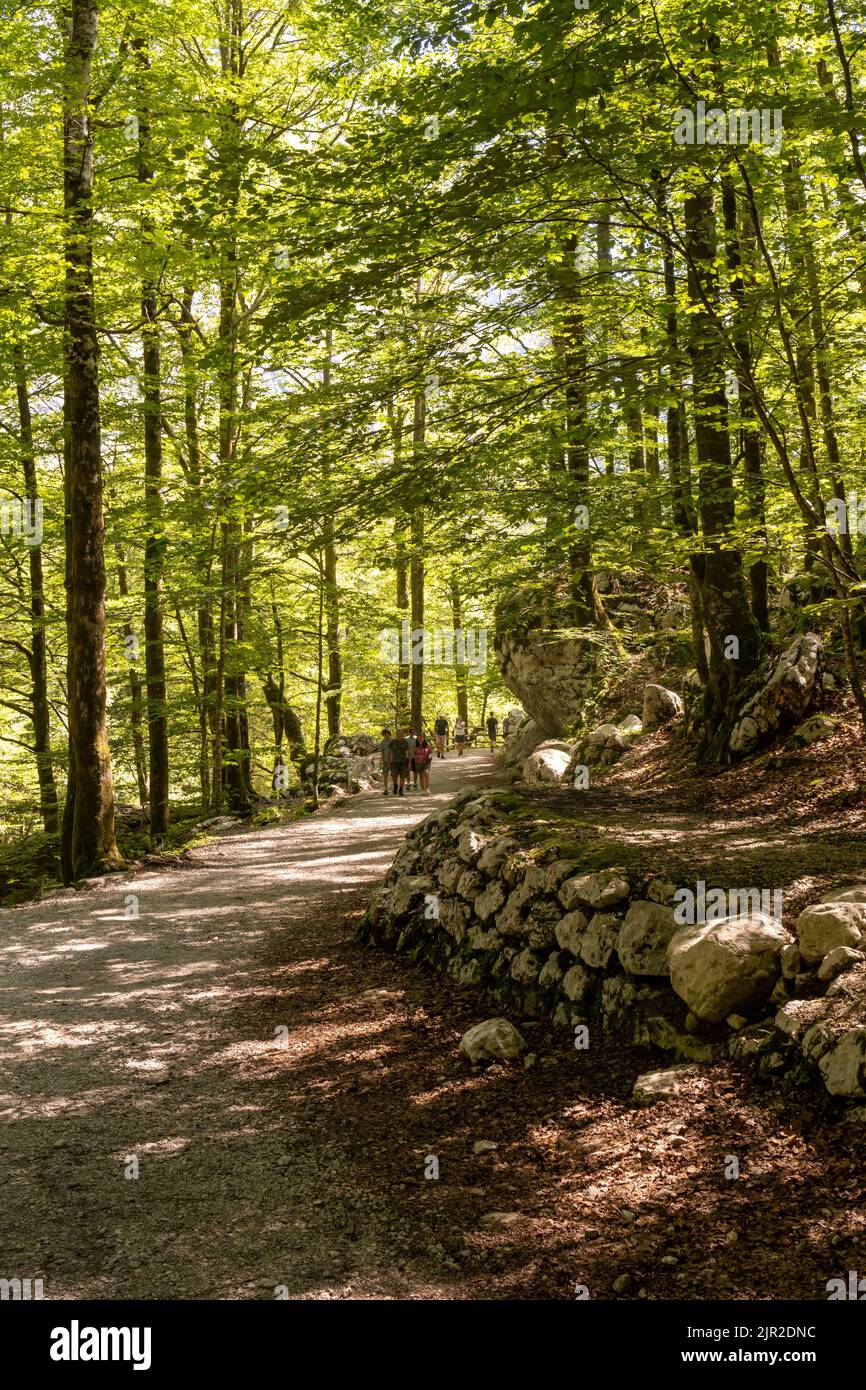 Ein Steinfußweg mit Wanderern in der Ferne in einem Wald der Alp Berge ...