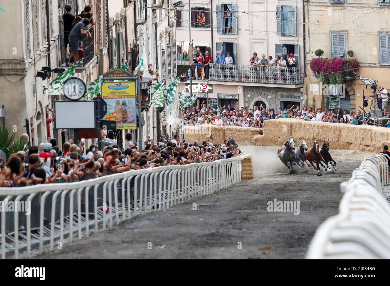 Reiterlose Pferde galoppieren beim traditionellen Rennen von Palio di ...