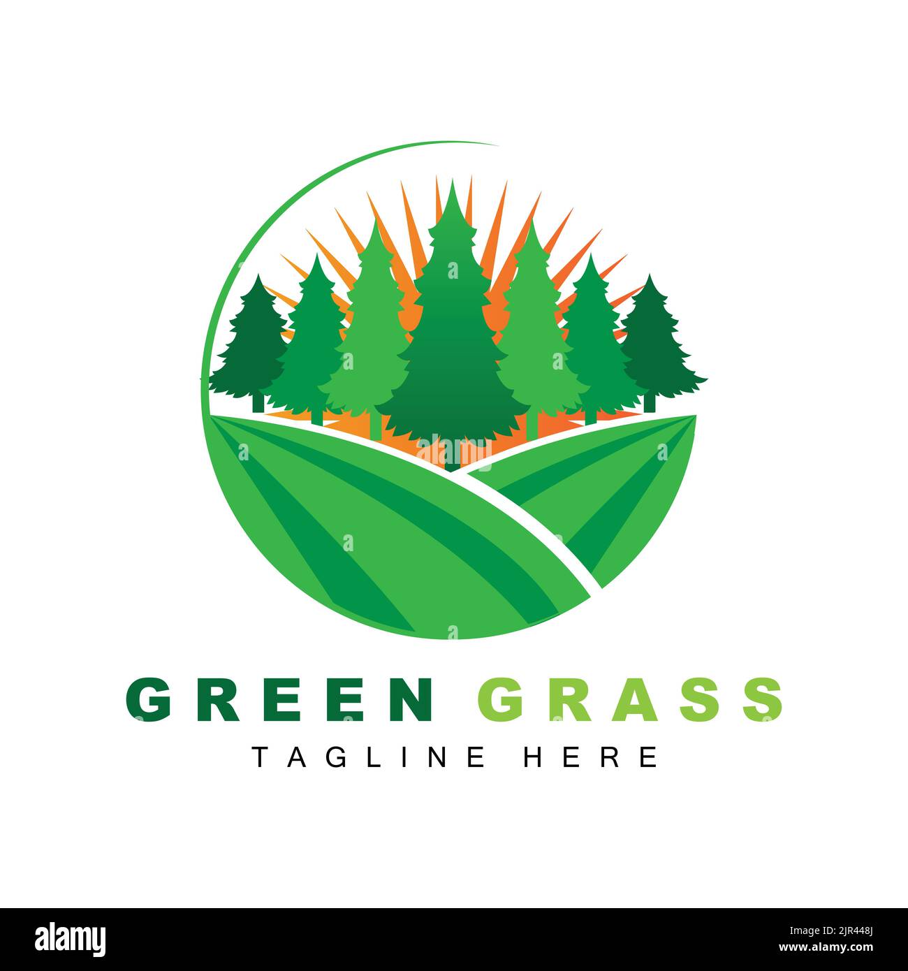 Grüne grasvegetation Stock-Vektorgrafiken kaufen - Alamy