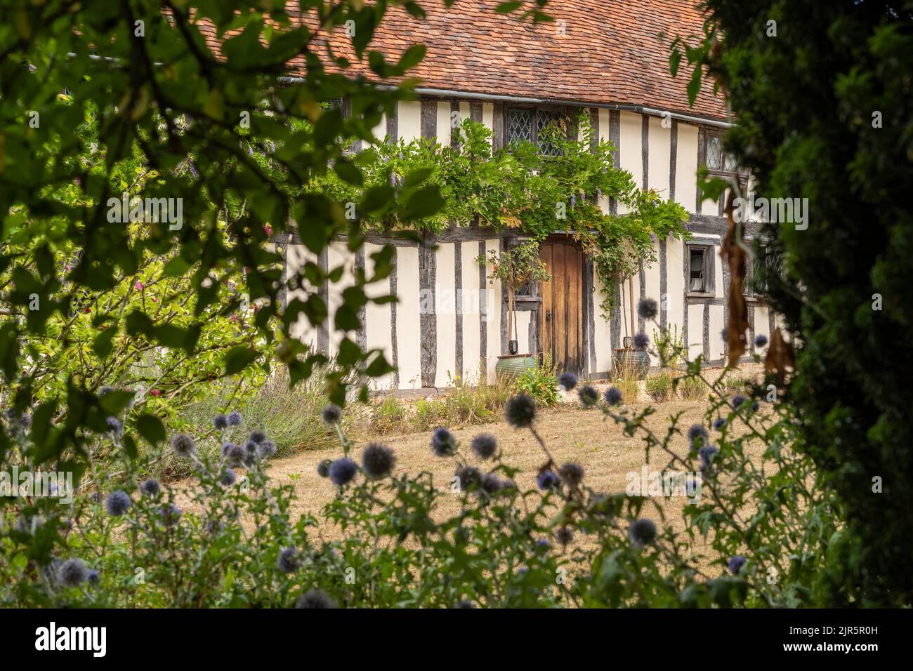 Tan haus -Fotos und -Bildmaterial in hoher Auflösung – Alamy