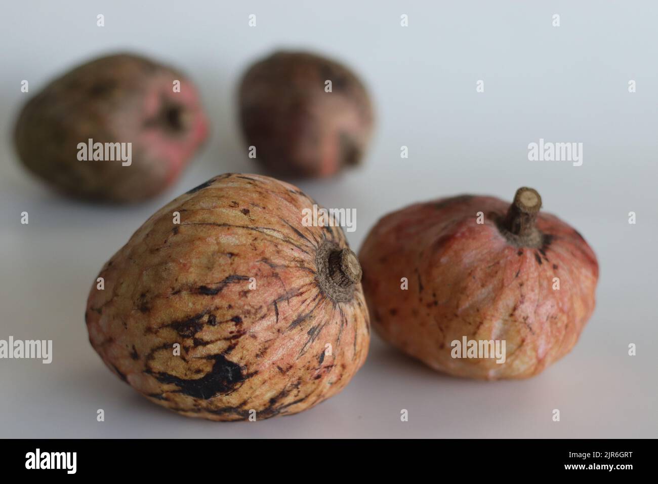 Reife rote Custard Apfelfrucht oder Annona reticulata Bullocks Herz ...