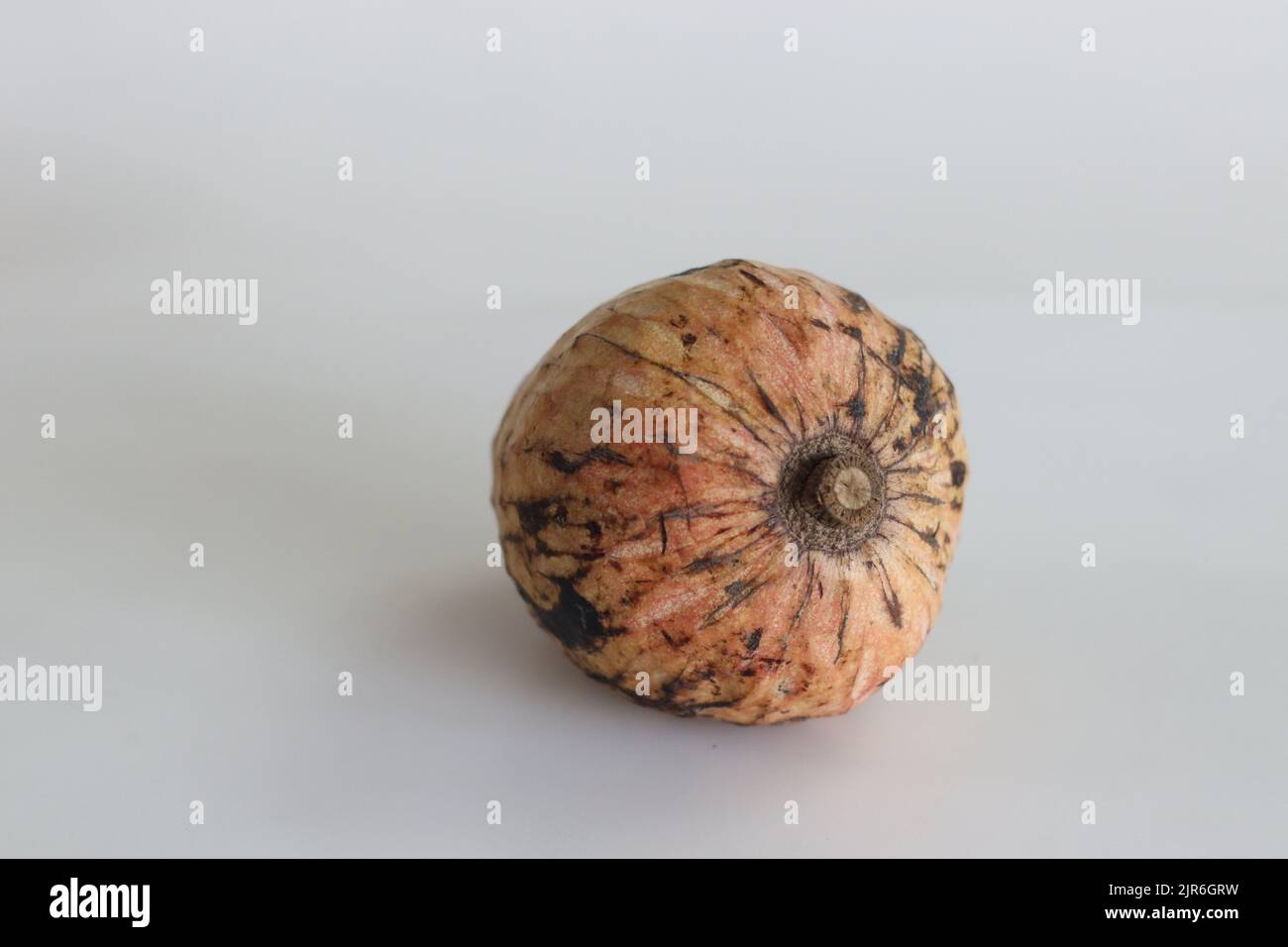 Reife rote Custard Apfelfrucht oder Annona reticulata Bullocks Herz ...