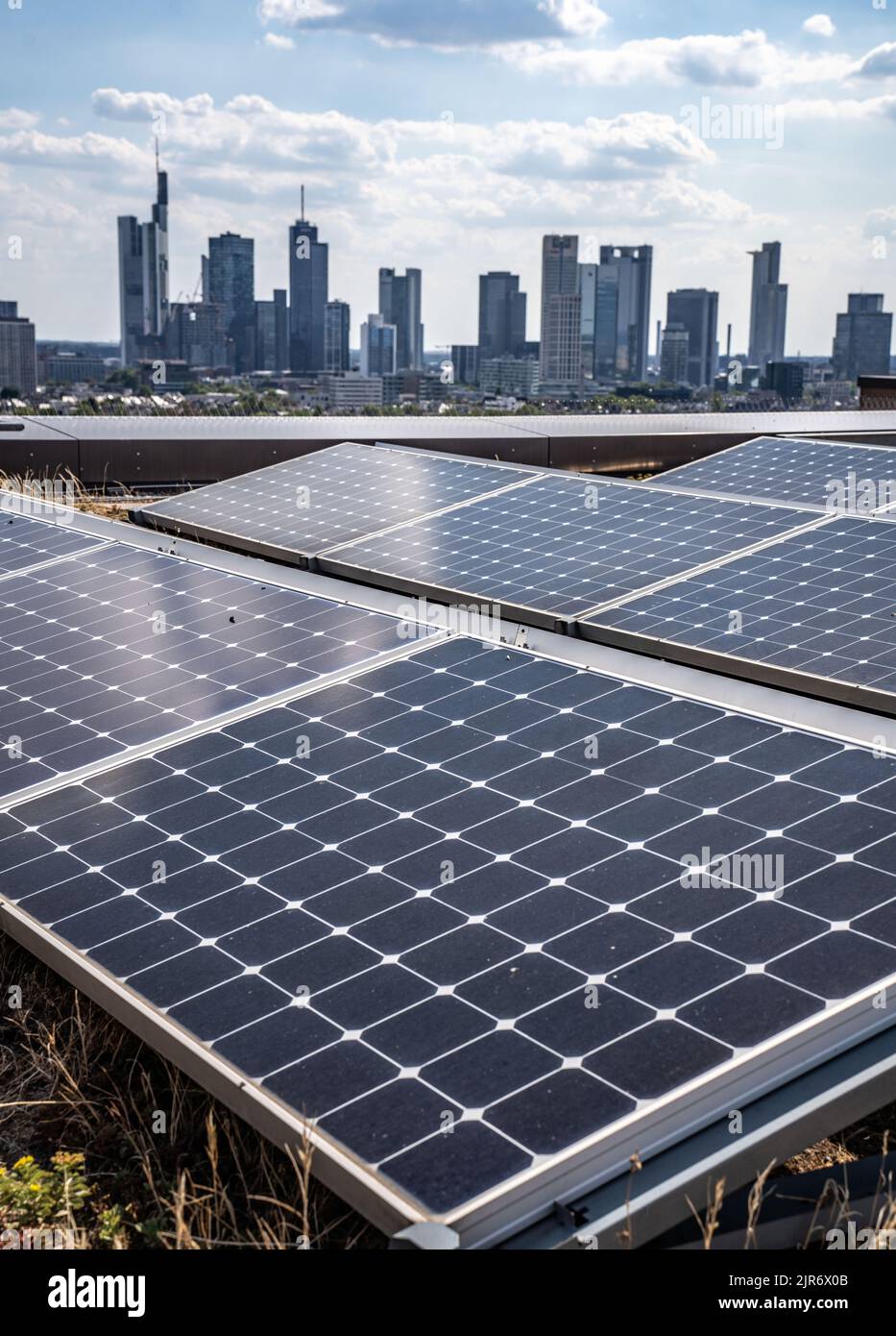 22. August 2022, Hessen, Frankfurt/Main: Solarmodule einer Photovoltaikanlage stehen auf dem ...