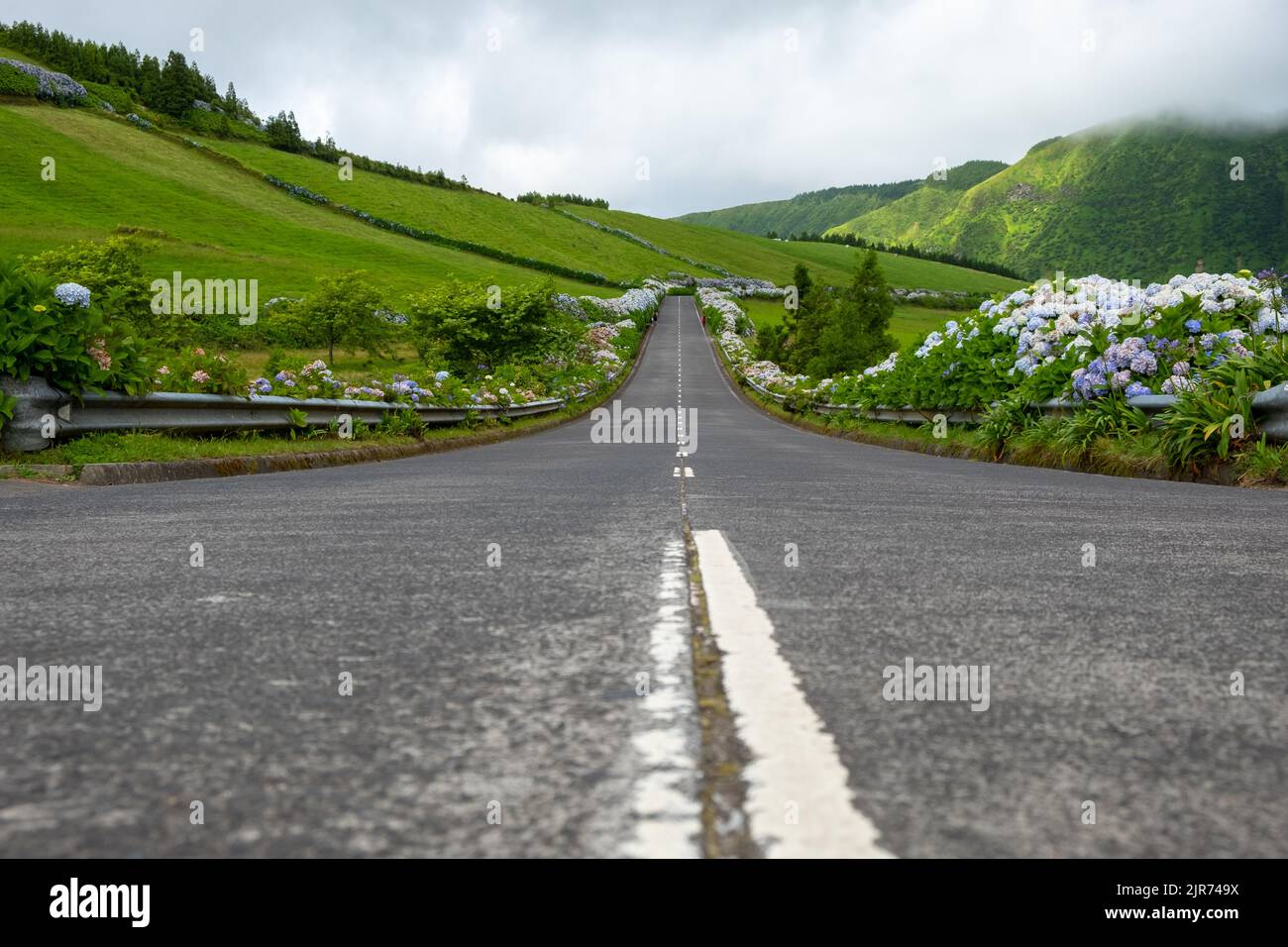 Straße mit schöner grüner Landschaft mit Hortensien Blumen in Sete ...