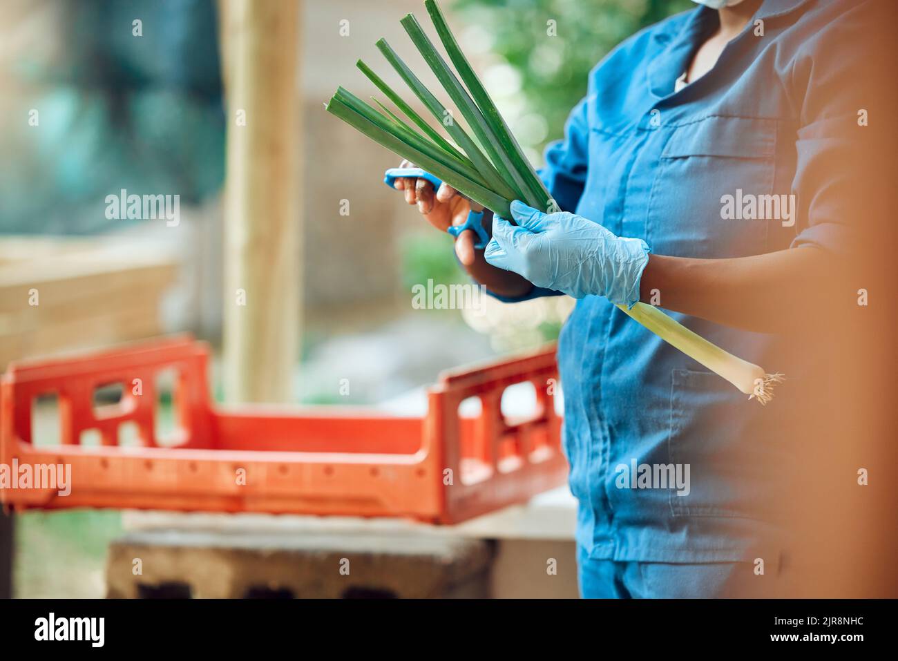 Landwirtschaft landwirtschaftsdienst -Fotos und -Bildmaterial in hoher ...