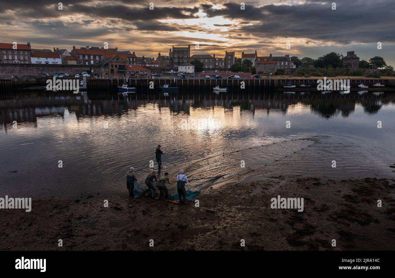 Traditionelle Lachsfischerei auf dem River Tweed bei der Gardo ...