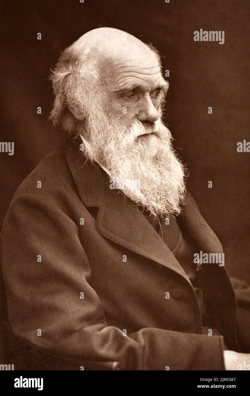 Foto von Charles Darwin, aufgenommen von seinem Sohn Leonard um 1874 ...
