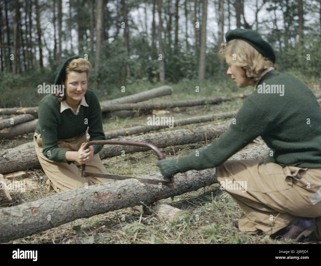Land Armee Mädchen sägen Holzpfosten für den Einsatz als Grube props ...
