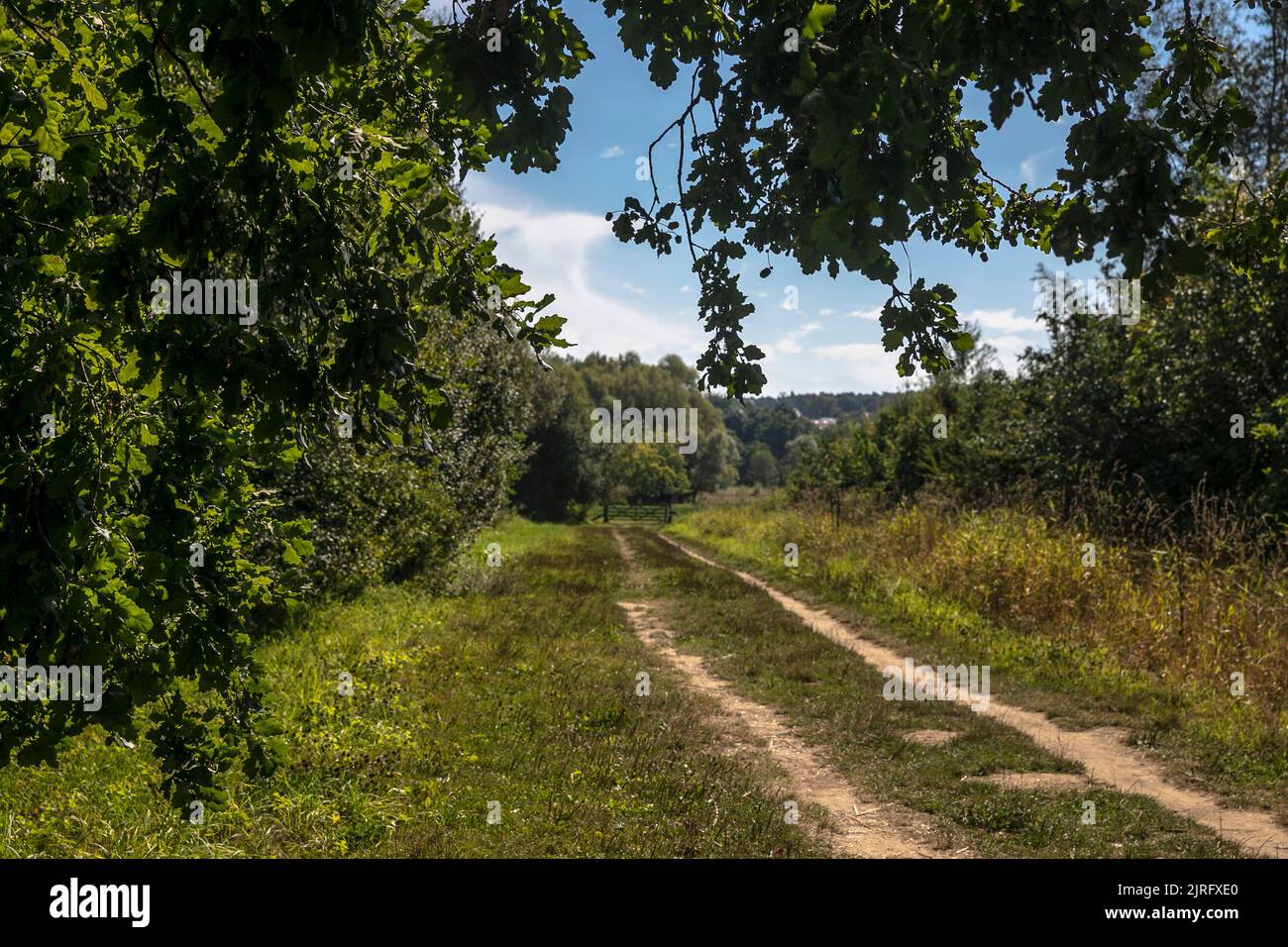 ACHTUNG REDAKTEURE - BELGA VON ab INBEV um BERICHTERSTATTUNG gebeten ...
