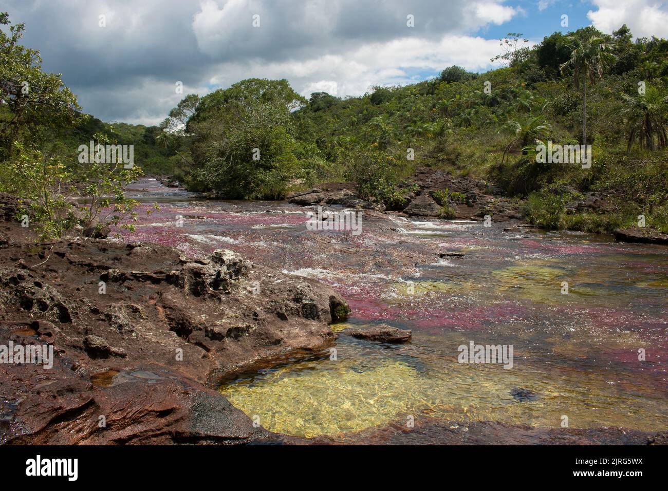 Serranía de la macarena -Fotos und -Bildmaterial in hoher Auflösung – Alamy