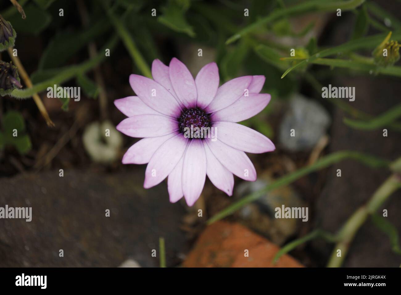 Paisajes de america -Fotos und -Bildmaterial in hoher Auflösung – Alamy