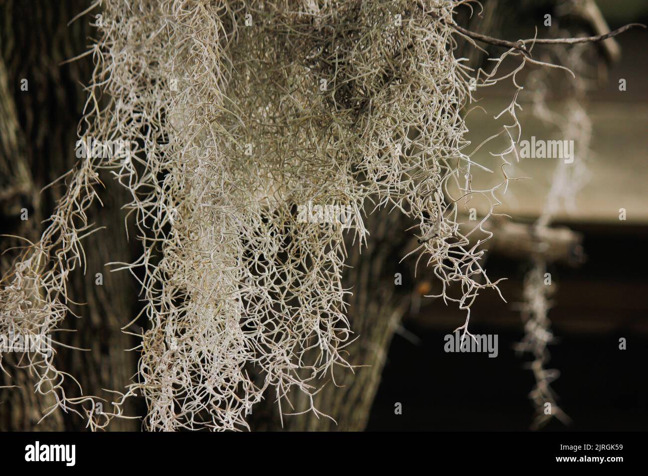 Paisajes de america -Fotos und -Bildmaterial in hoher Auflösung – Alamy