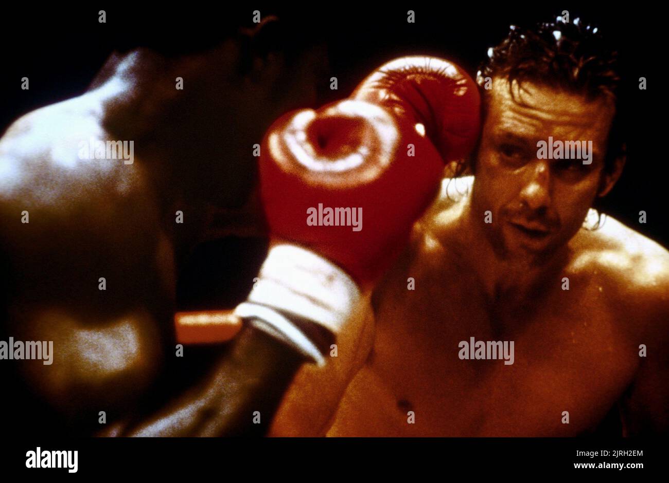 Mickey rourke boxing -Fotos und -Bildmaterial in hoher Auflösung – Alamy