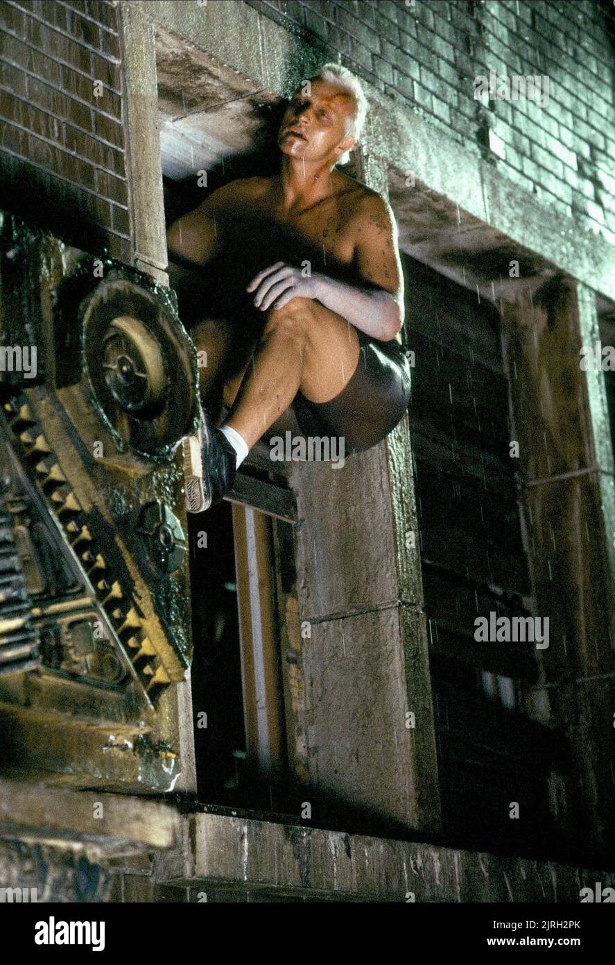 Rutger hauer blade runner -Fotos und -Bildmaterial in hoher Auflösung ...