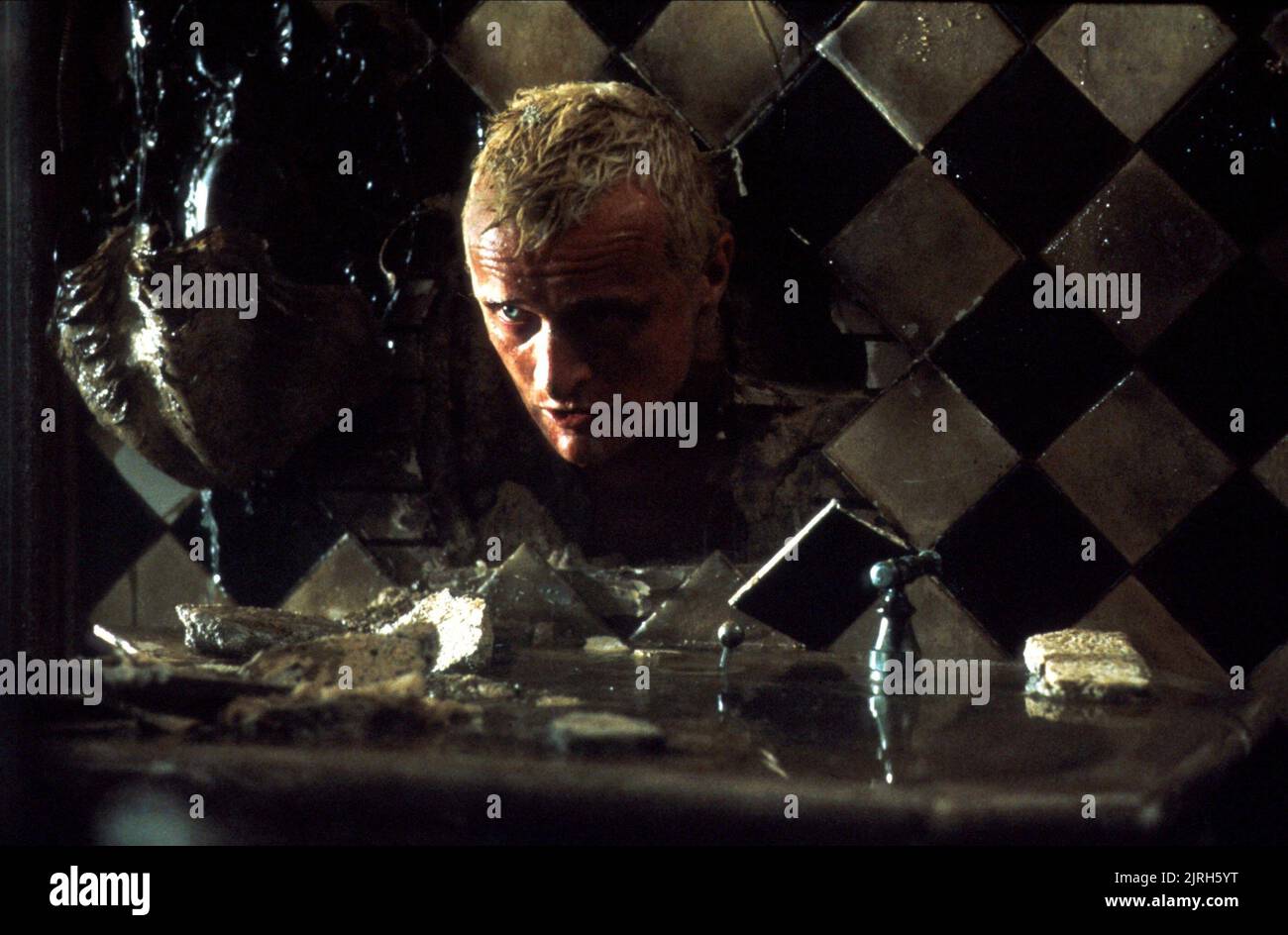 Rutger hauer blade runner -Fotos und -Bildmaterial in hoher Auflösung ...