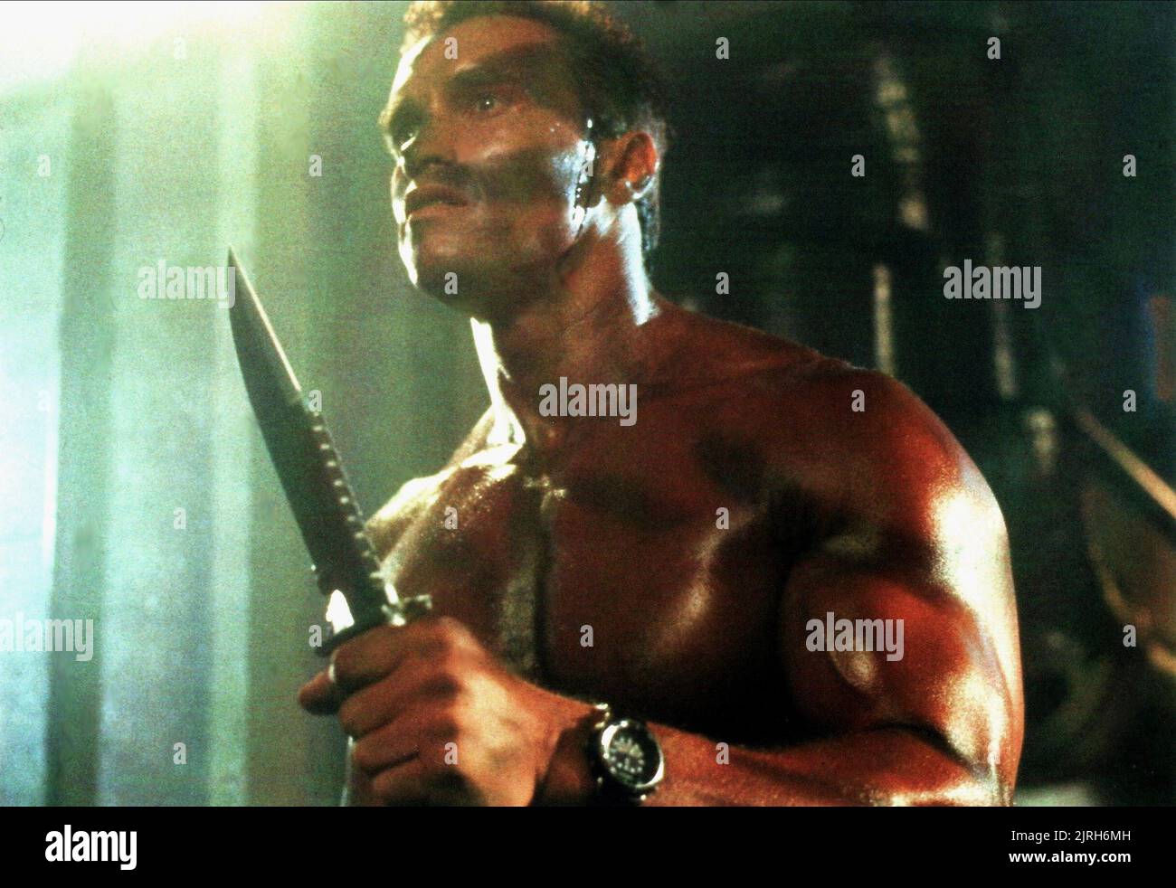 Arnold schwarzenegger commando -Fotos und -Bildmaterial in hoher ...