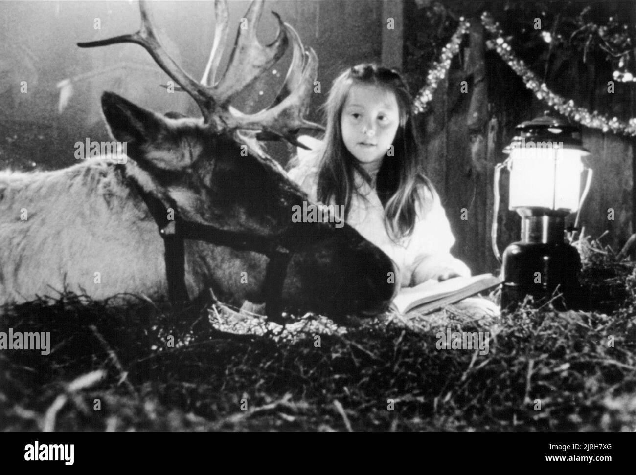 Rebecca harrel -Fotos und -Bildmaterial in hoher Auflösung – Alamy