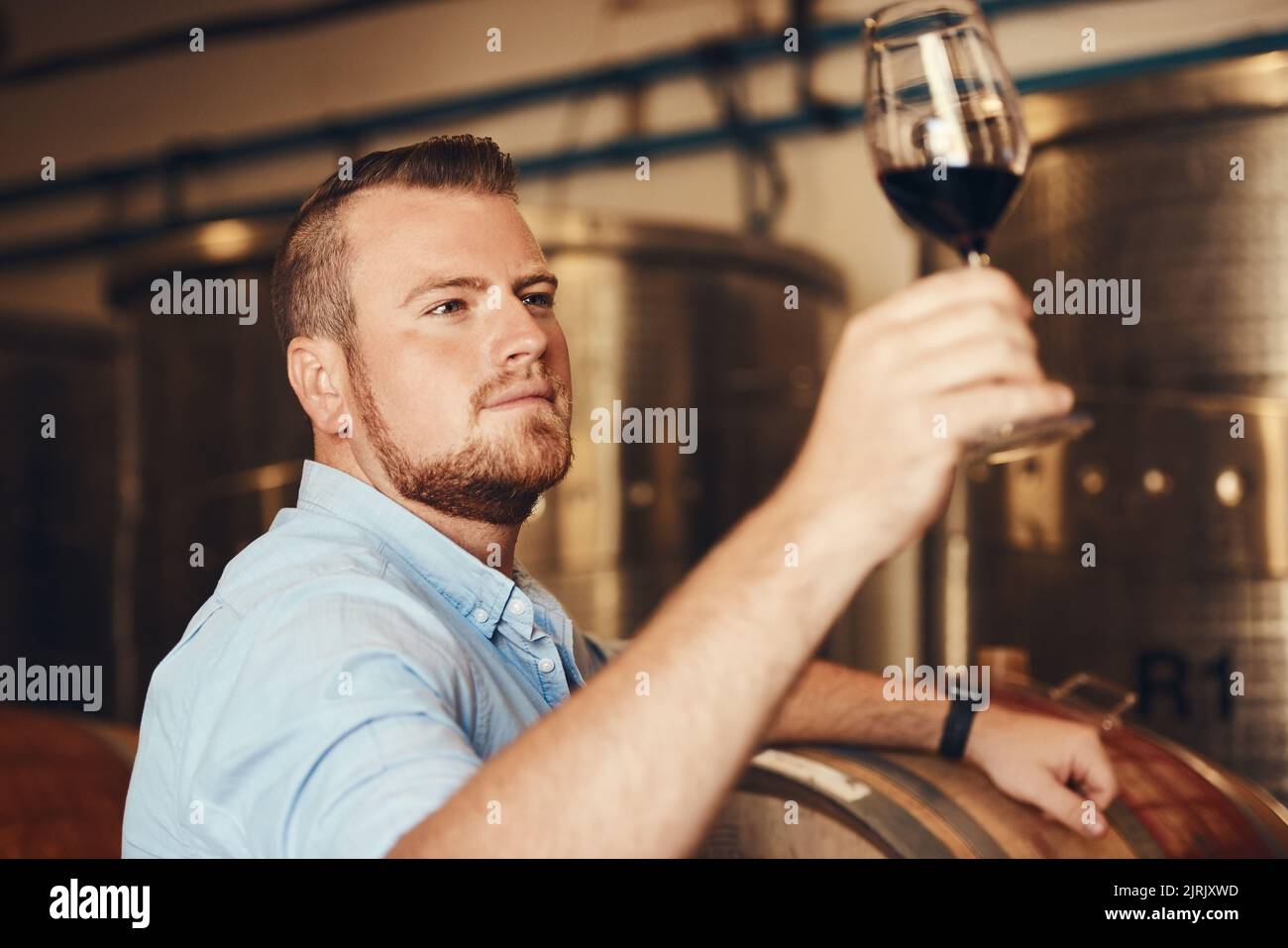 Herstellung großer Weine mit traditionellen, natürlichen Weinbau- und ...