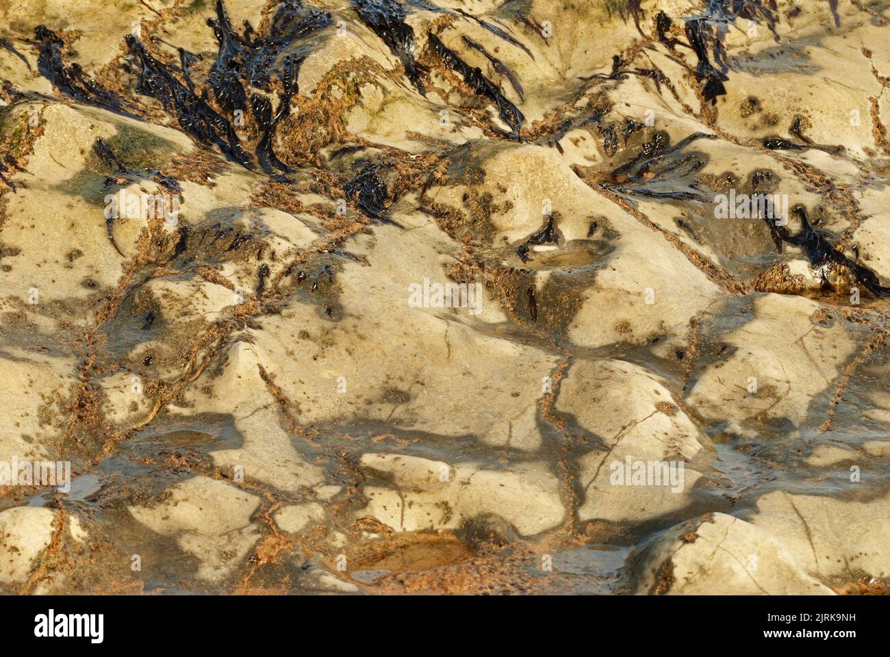 Sandstein felsen -Fotos und -Bildmaterial in hoher Auflösung – Alamy