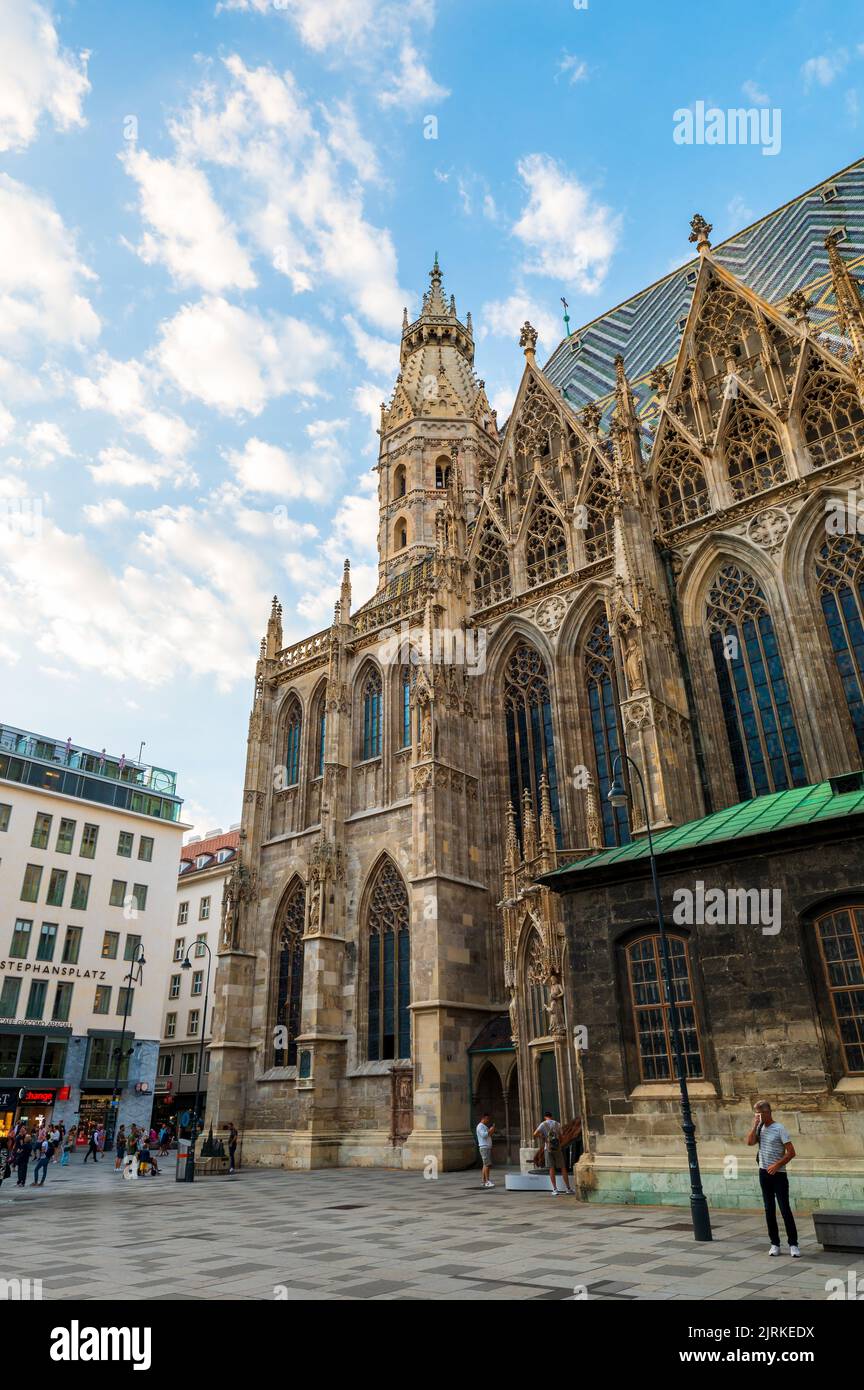 Wien, Österreich - 11. August 2022: Stephansdom, der Wiener Dom erhebt ...