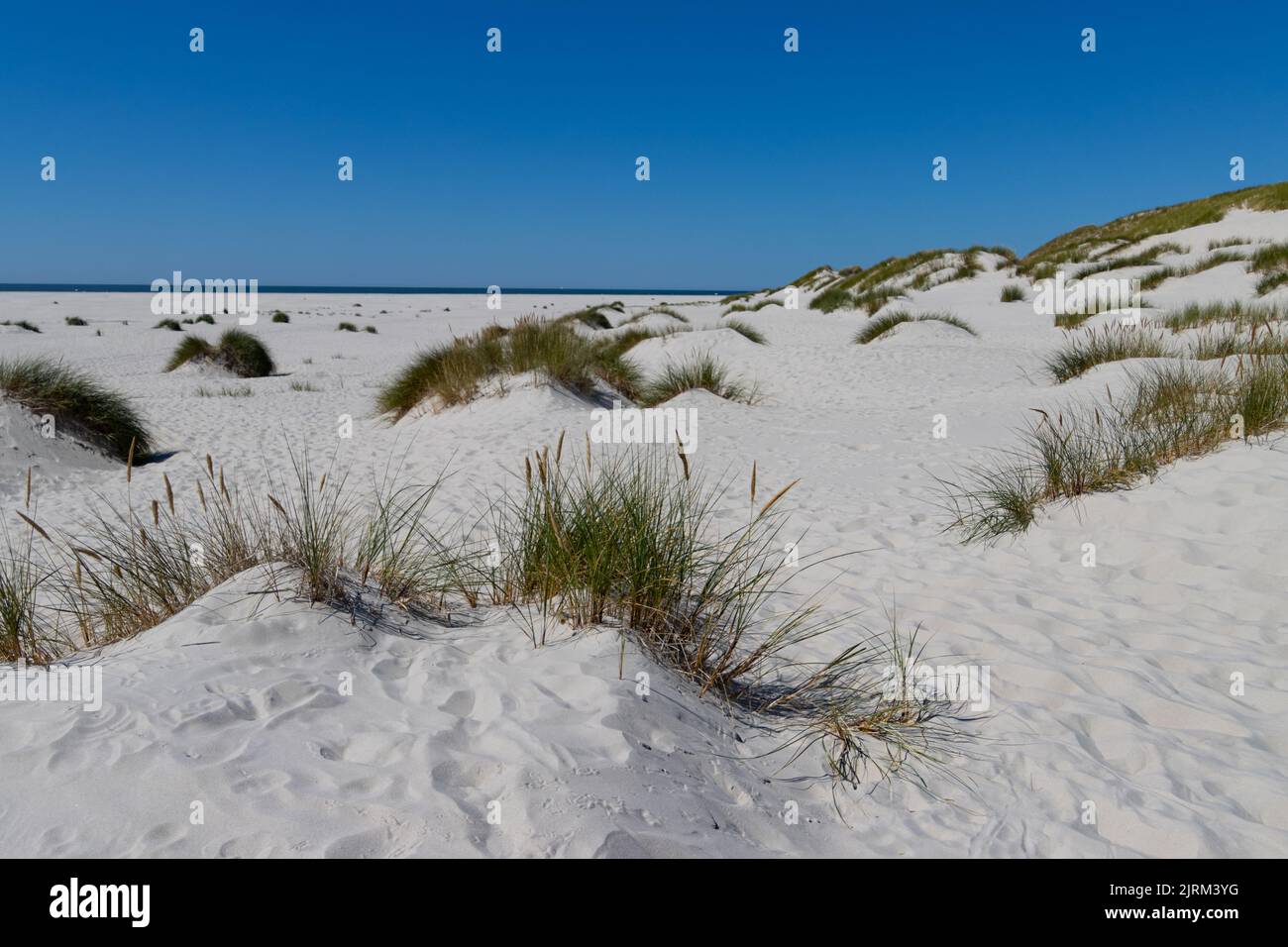 Strand auf amrum island -Fotos und -Bildmaterial in hoher Auflösung – Alamy