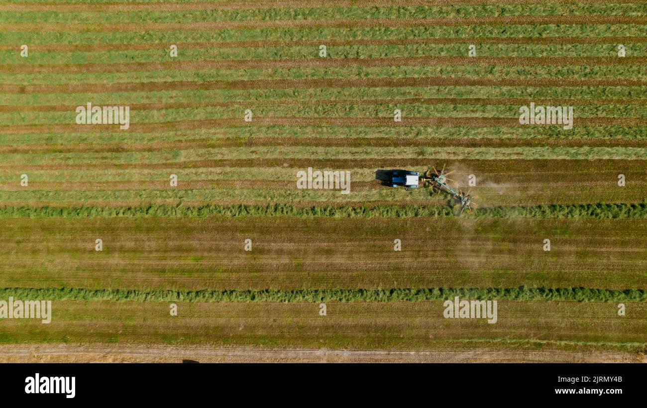 Traktor harvester federschnitt -Fotos und -Bildmaterial in hoher ...