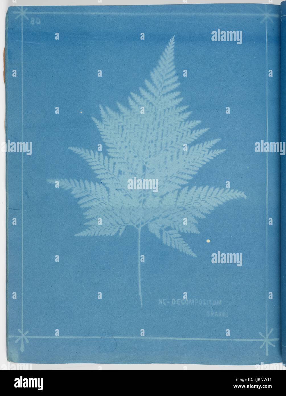 Orakei aus dem album -Fotos und -Bildmaterial in hoher Auflösung – Alamy