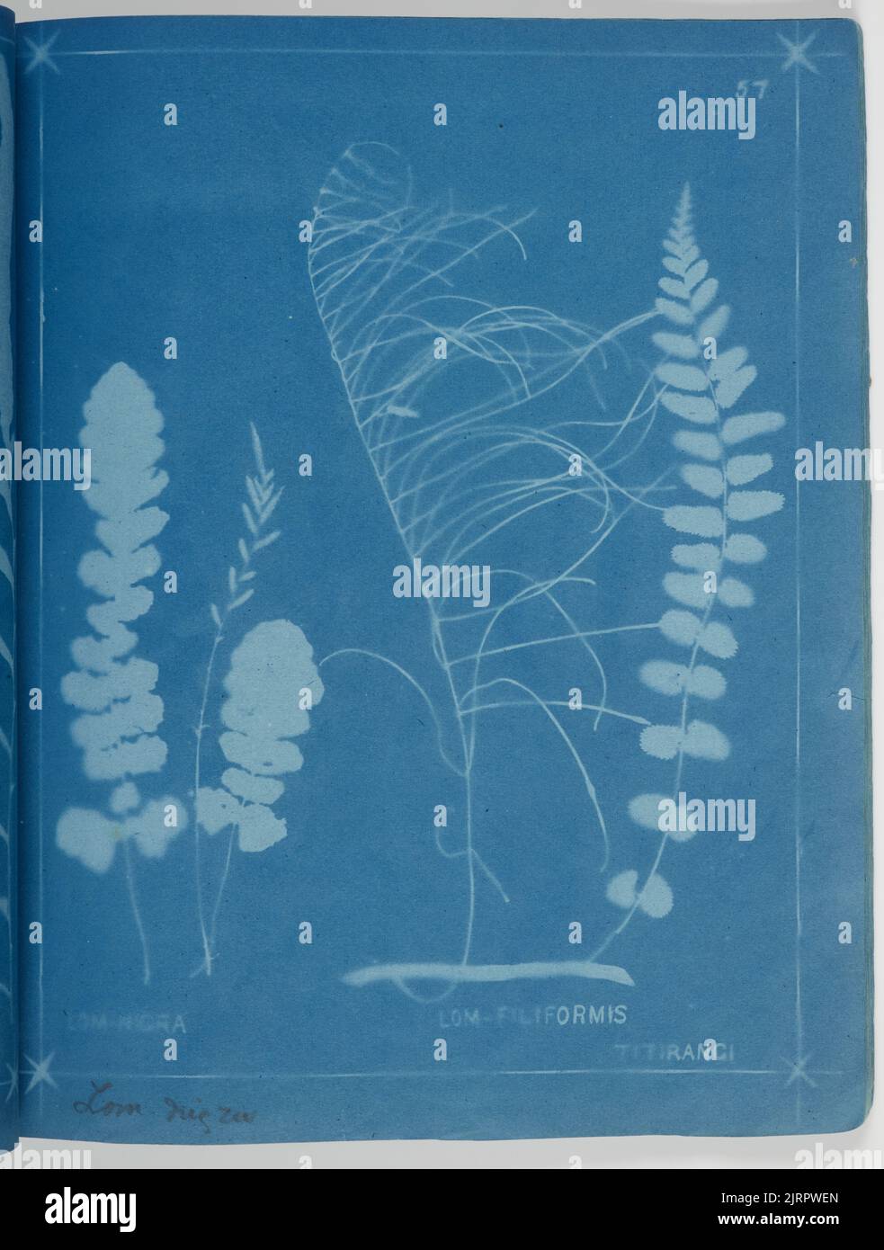 Titirangi aus dem album -Fotos und -Bildmaterial in hoher Auflösung – Alamy
