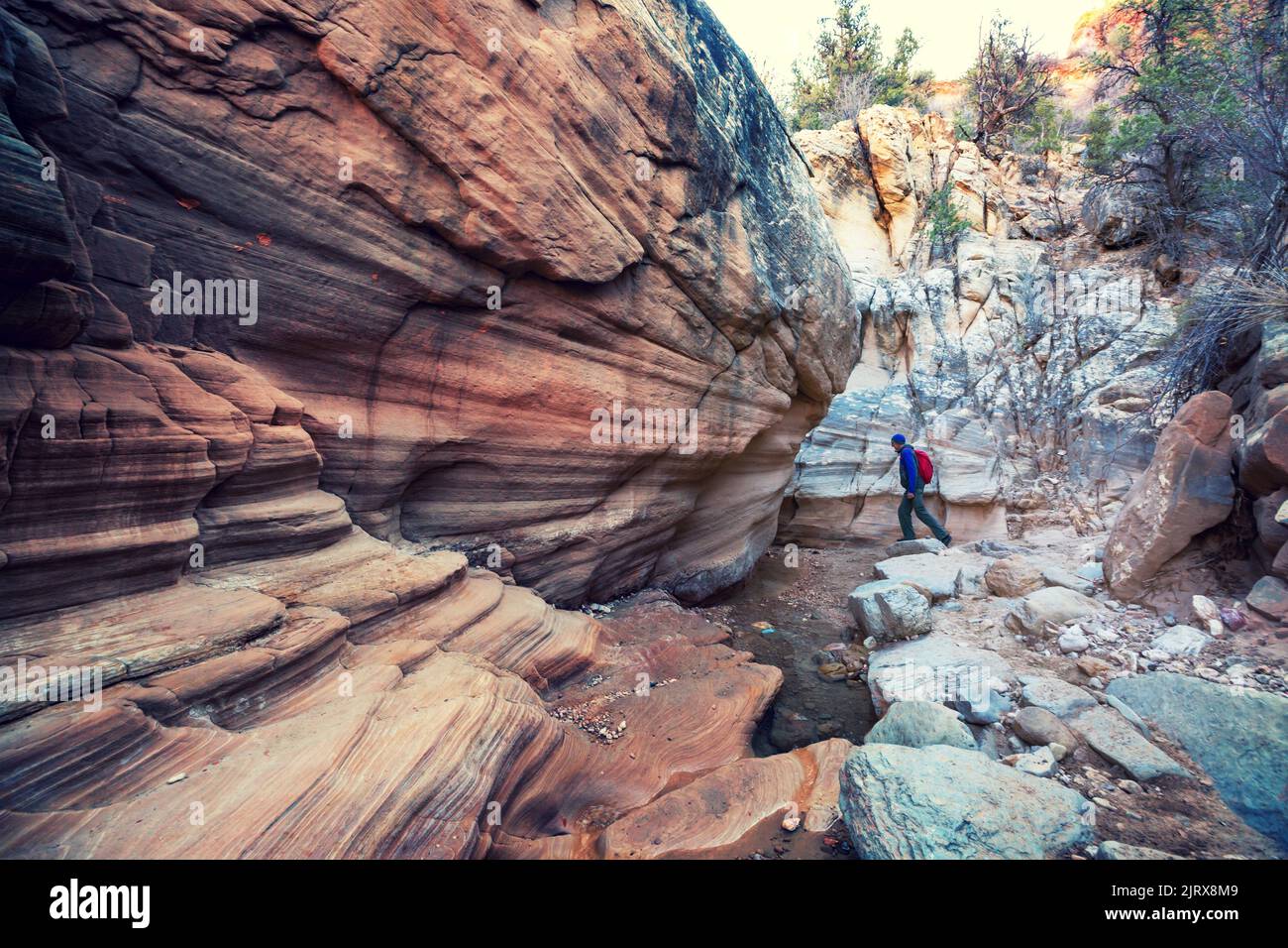 Im Grand Staircase Escalante National Park, Utah, USA. Ungewöhnlich ...
