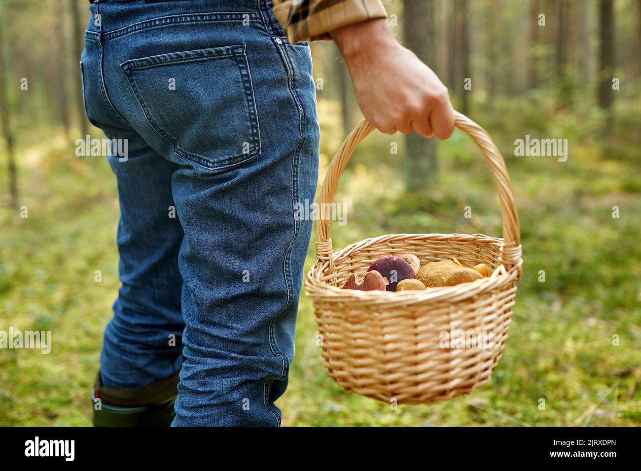 Pilze sammeln gummistiefel -Fotos und -Bildmaterial in hoher Auflösung – Alamy