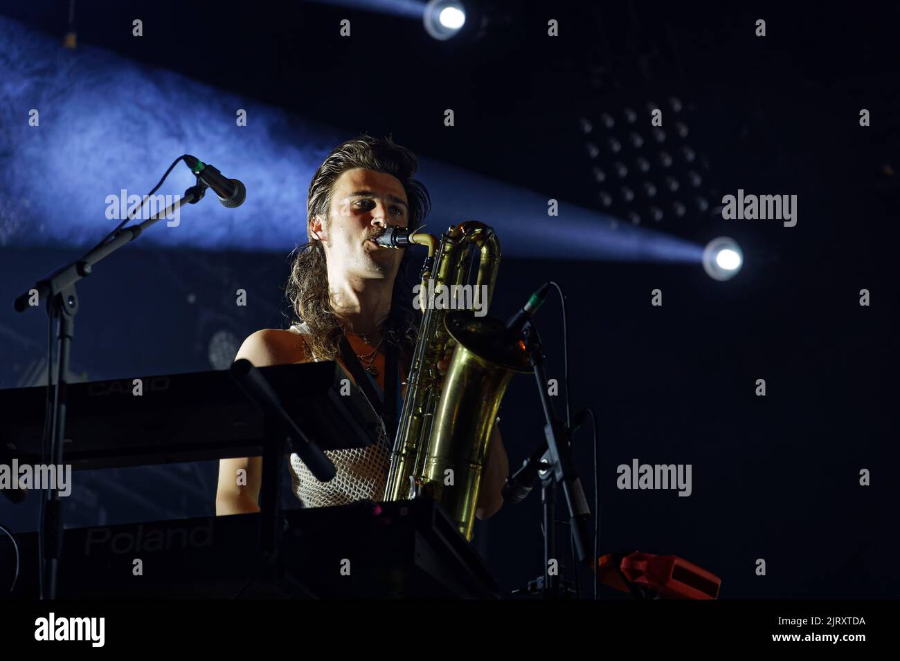 Fat white family -Fotos und -Bildmaterial in hoher Auflösung – Alamy
