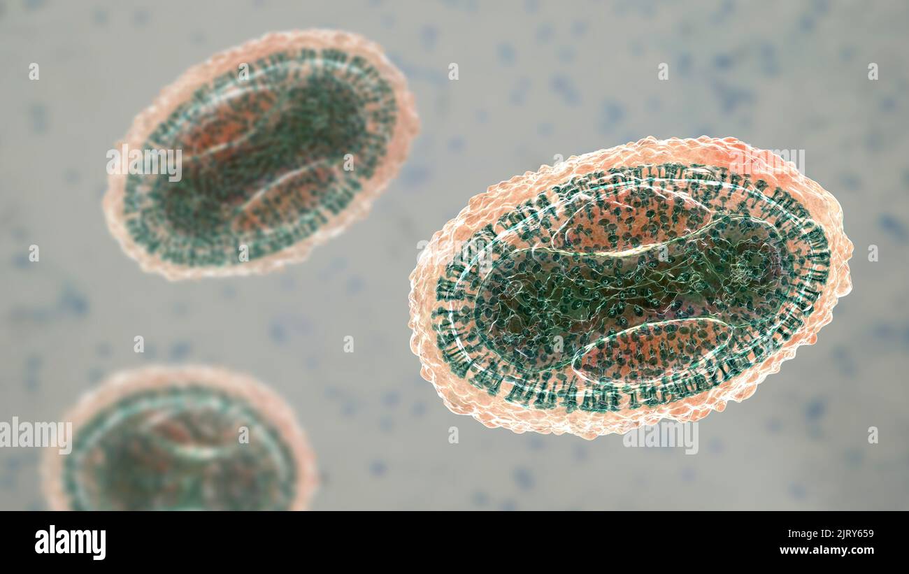 Tanapox virus -Fotos und -Bildmaterial in hoher Auflösung – Alamy