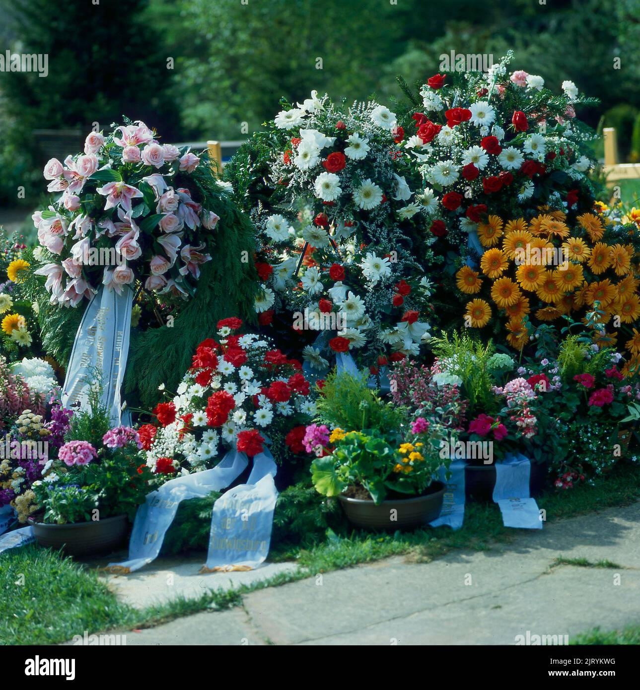 Neues Grab, Begräbnis, Kränze liegen auf dem frischen Grab, Friedhof ...