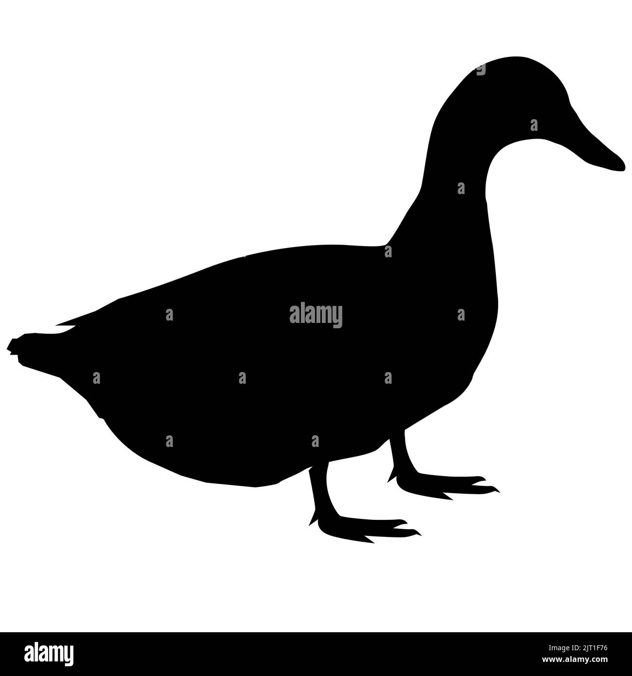 Piktogramm der ente Ausgeschnittene Stockfotos und -bilder - Alamy