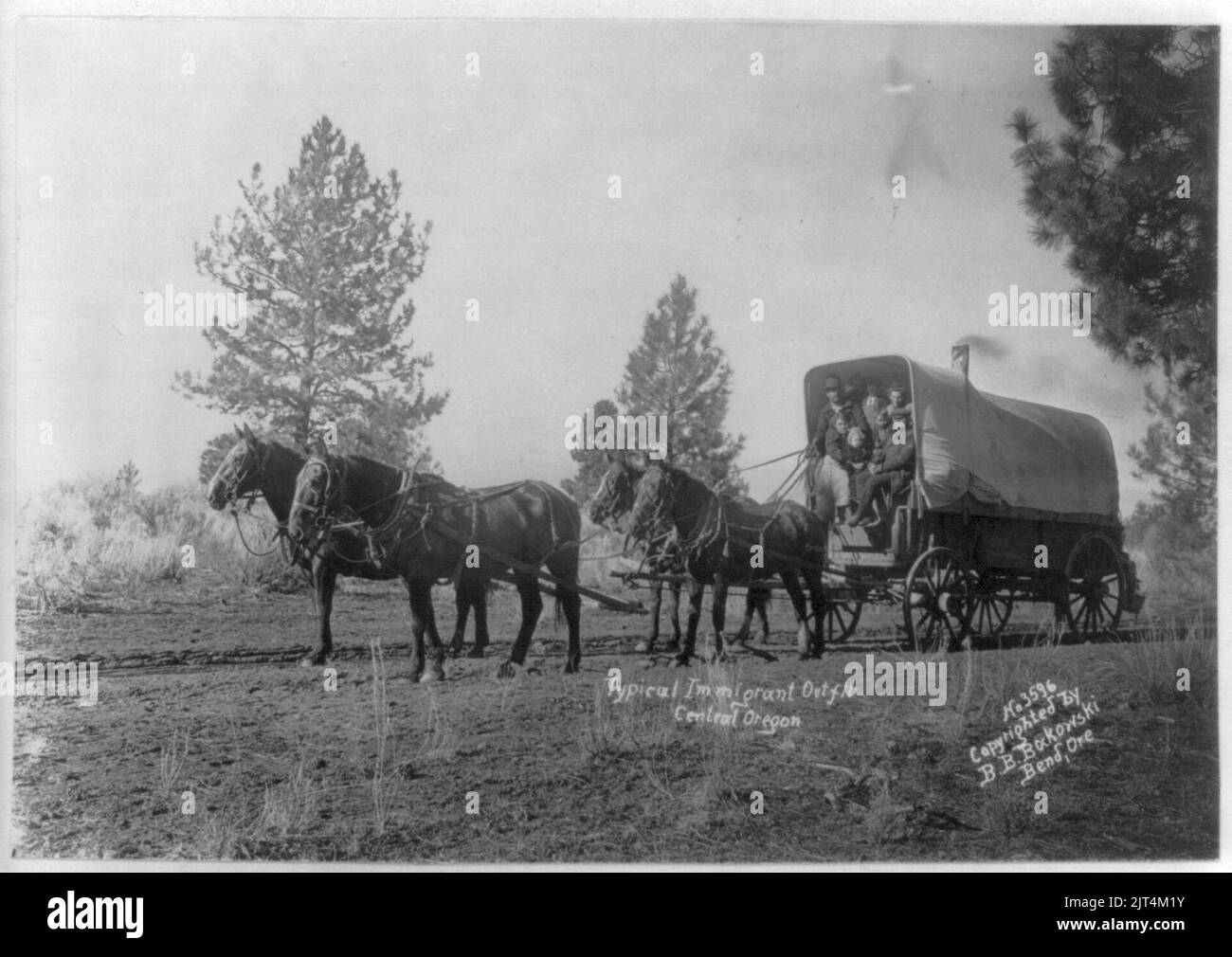 Typischer einwanderer -Fotos und -Bildmaterial in hoher Auflösung – Alamy