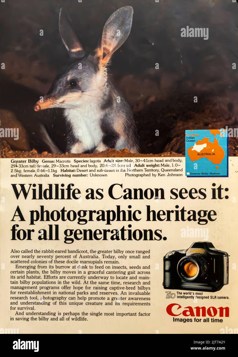 Canon vintage werbung -Fotos und -Bildmaterial in hoher Auflösung – Alamy