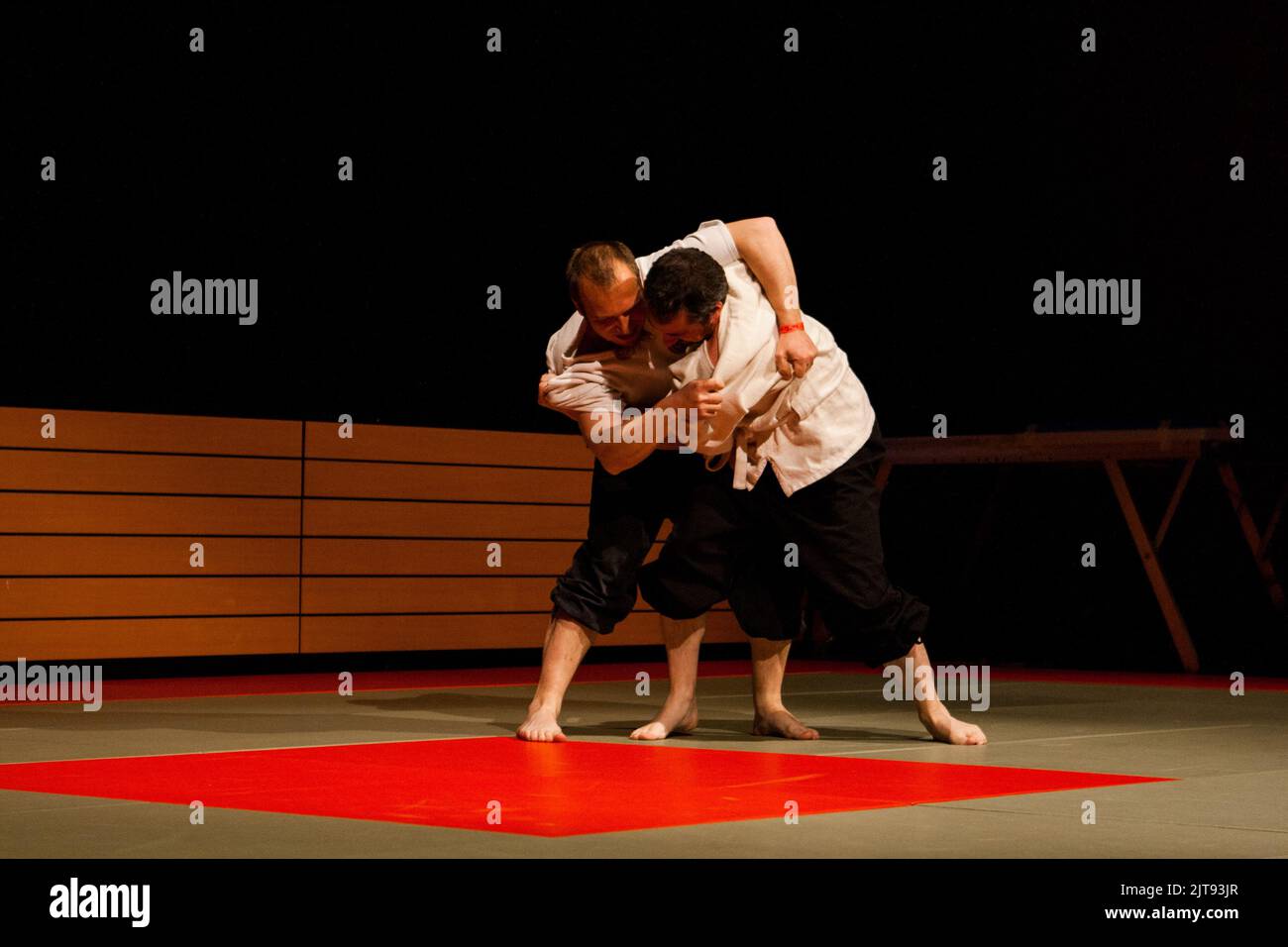 Frankreich, Bretagne, Rennes, am 2016-03-26. La Nuit des Arts Martiaux ...