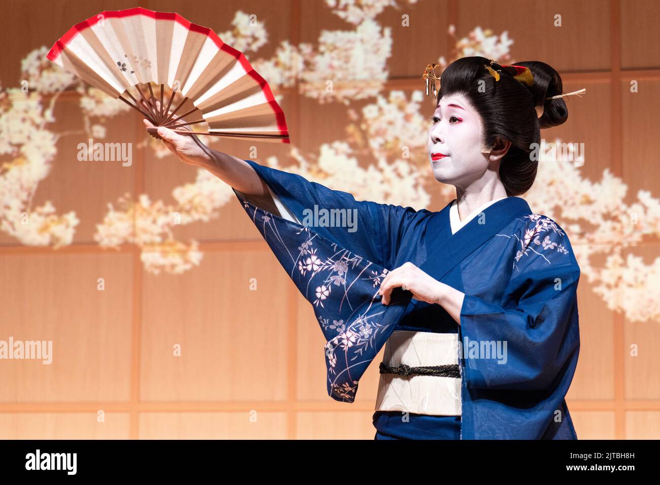 Eine japanische Geisha trägt einen Kimono und führt einen ...