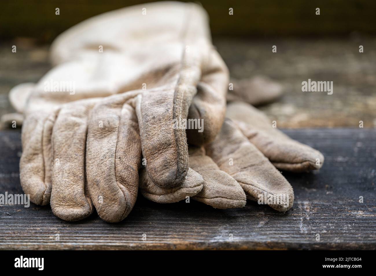 Clapping gloves -Fotos und -Bildmaterial in hoher Auflösung – Alamy