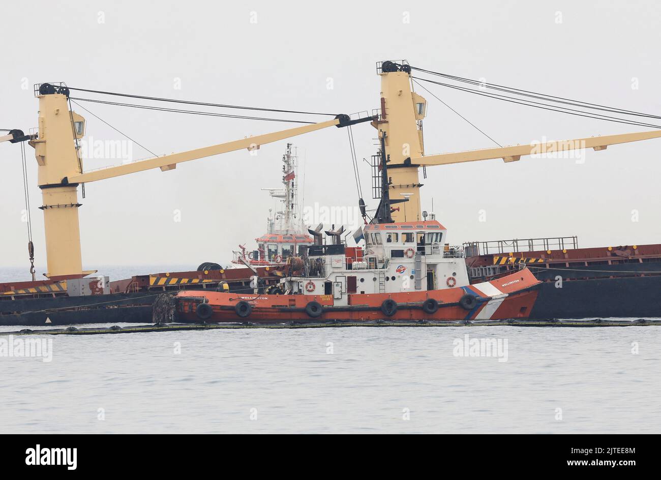 Adam lng -Fotos und -Bildmaterial in hoher Auflösung – Alamy