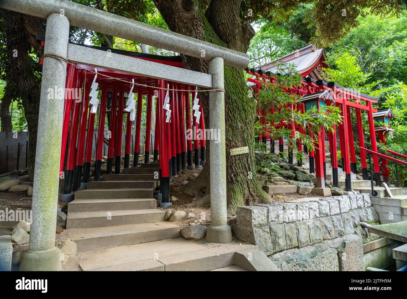 Torii-Tore am Nogi-jinja-Schrein in Nogizaka, Akasaka, Tokio, Japan ...