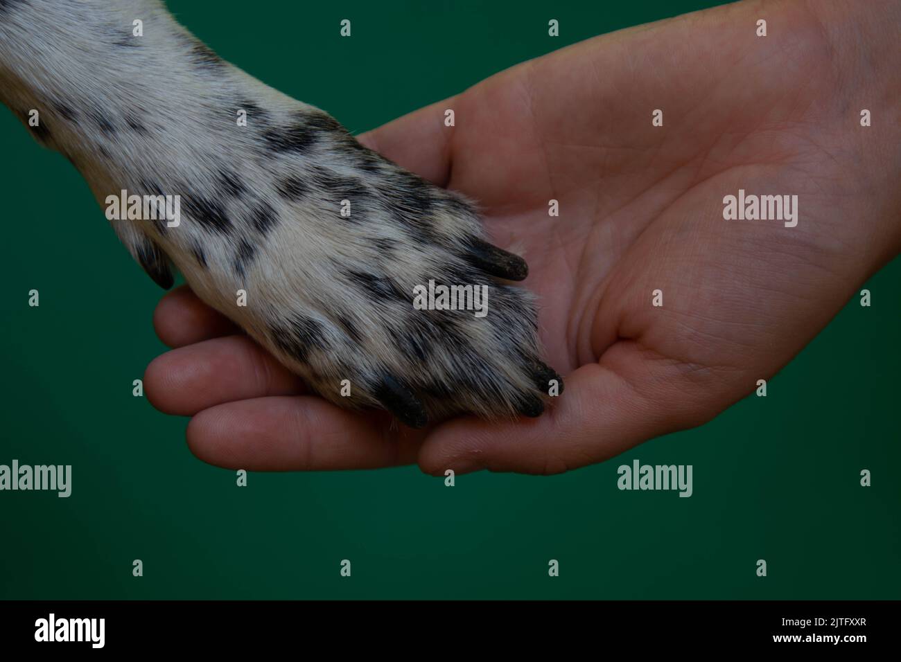 Hand hands mano mani -Fotos und -Bildmaterial in hoher Auflösung – Alamy