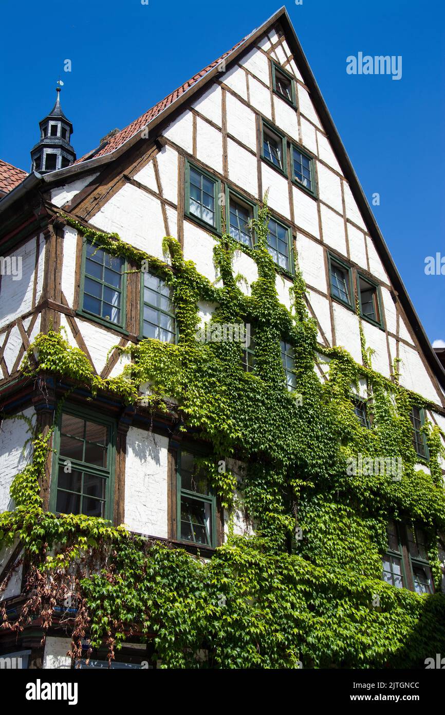 Efeu an der fassade -Fotos und -Bildmaterial in hoher Auflösung – Alamy